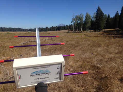 Using Motus Technology to Inform Conservation of the Oregon Vesper ...