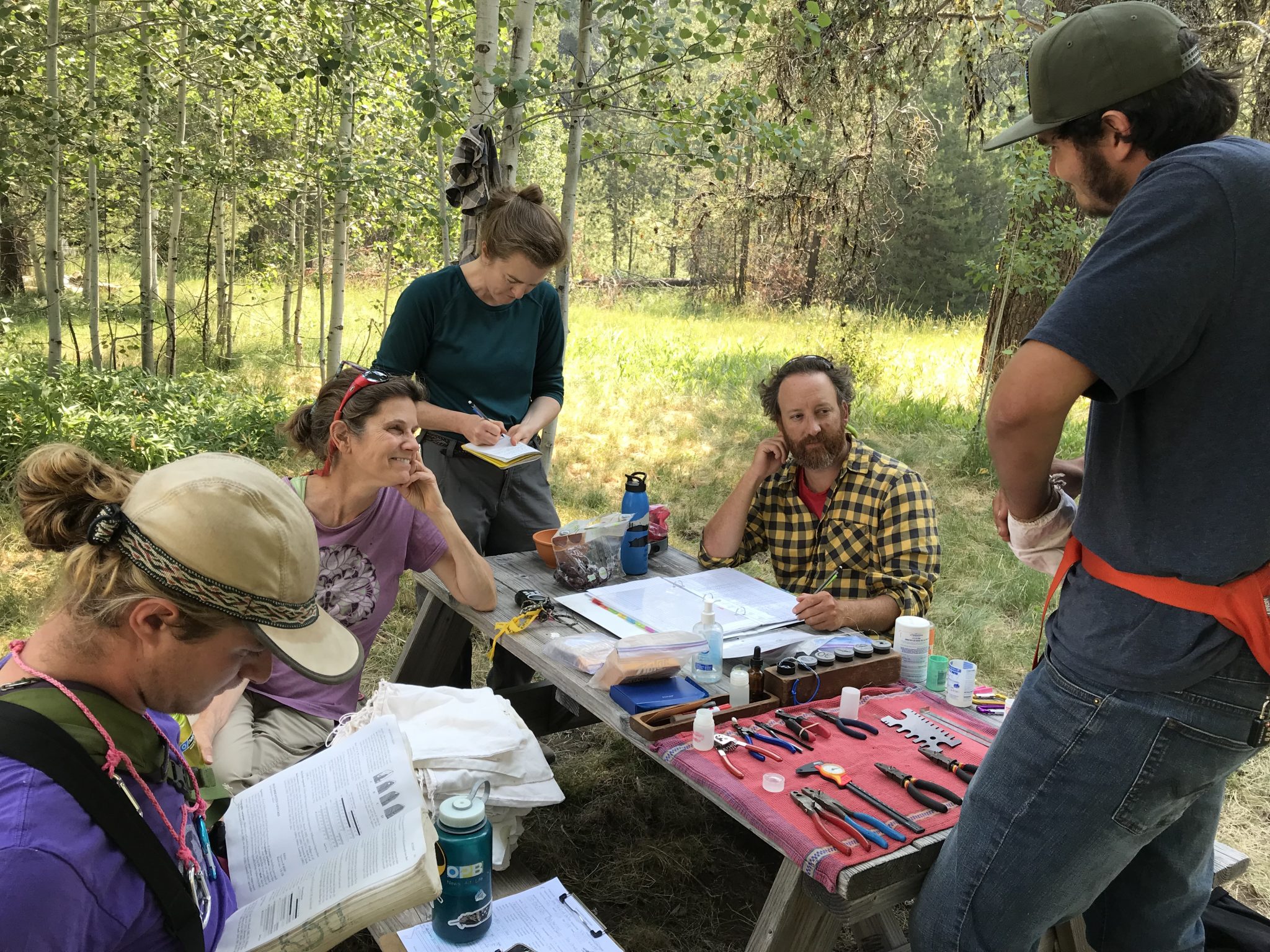 Bird Banding with Klamath Bird Observatory Scientists: Science in ...