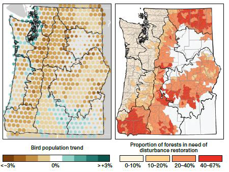 2022 U.S. State of the Birds Report Reveals Widespread Losses of Birds ...