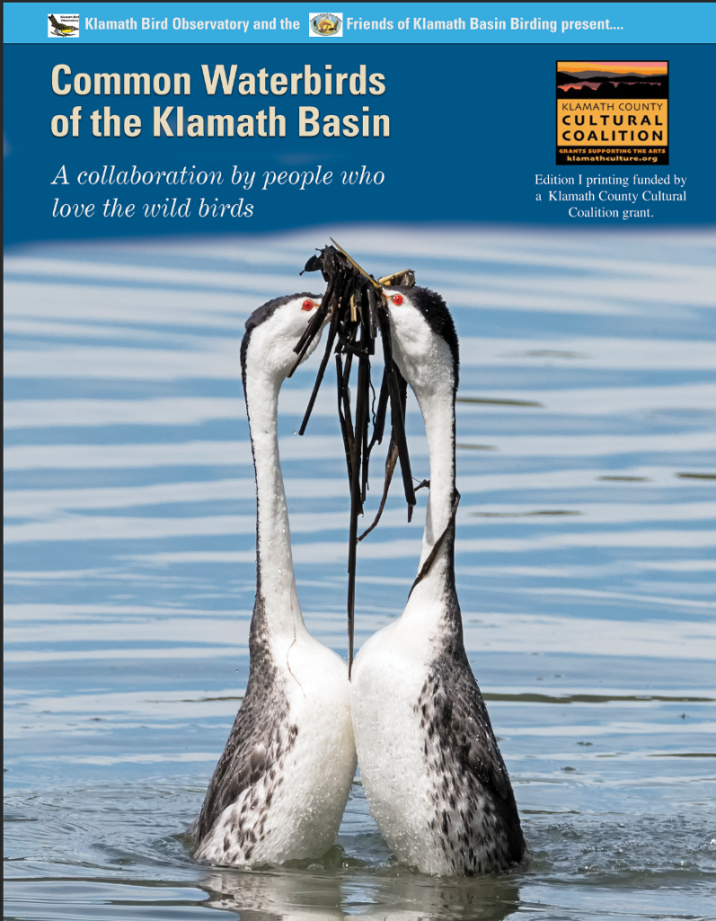 Join us in learning about water birds of the Klamath Refuge and the ...