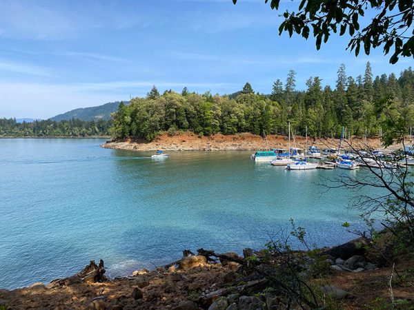 Bird Walk at Joseph Stewart Park - Klamath Bird Observatory